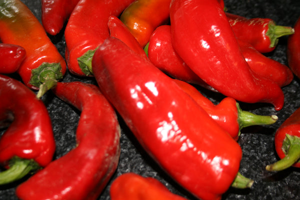 Boldog Hungarian Hot Pepper – Wildrose Heritage Seed Company