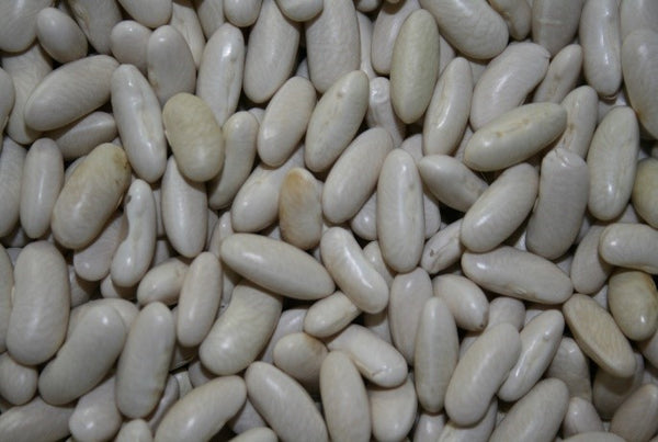 Tenderette Bean Seeds – Wildrose Heritage Seed Company