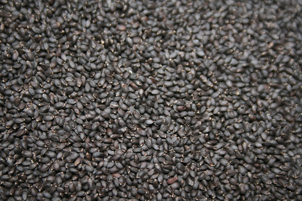 Saim Queen Thai Basil Seeds – Wildrose Heritage Seed Company