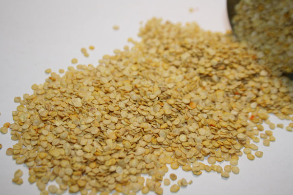 Charleston Hot Pepper Seeds – Wildrose Heritage Seed Company