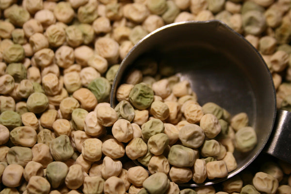 Lincoln Pea Seeds – Wildrose Heritage Seed Company